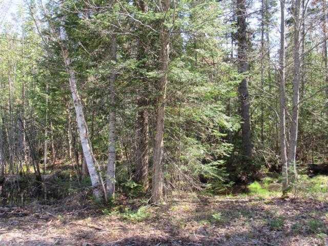 TBD Rice Lake Road # Just west of 31959 Rice Lake Road