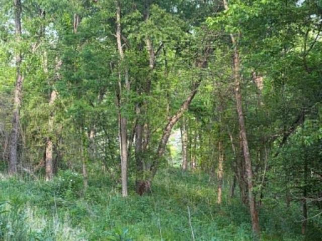 TBD Ridgecrest Drive