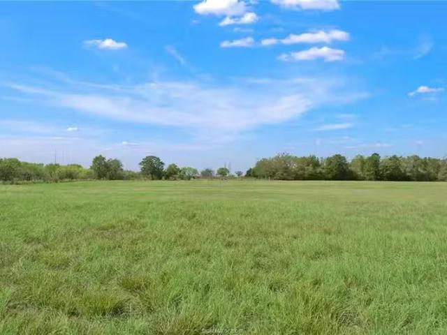 Tbd Rigsby Lane, North Zulch, TX 77872