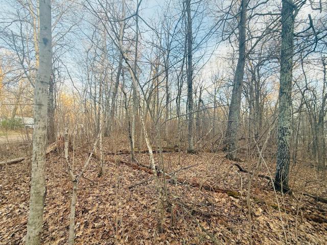 TBD Ringneck Roost