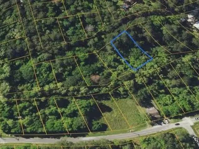 Tbd Rio Vista, Livingston, TX 77351 MLS 46228802