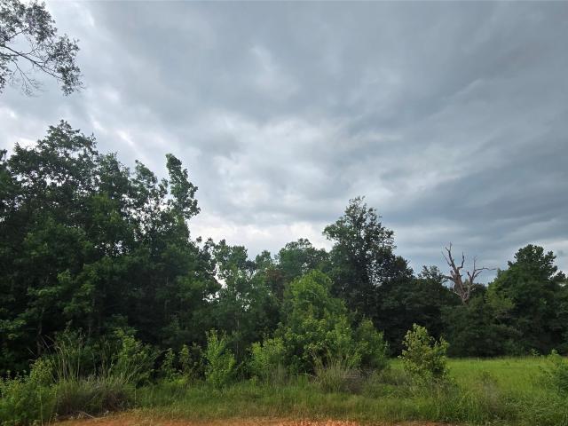 TBD S6513 Lakekand Ranch Section 9, Block 14 Tract 387