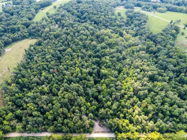 TBD W Tanyard Hollow Road