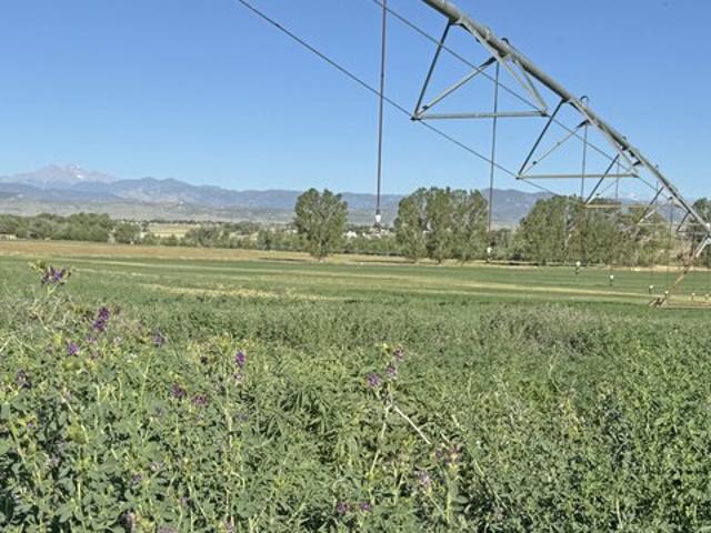 Tbd W County Road 4E, Berthoud, CO 80513
