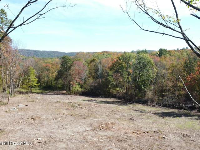 Tbd W Hill Rd, Austerlitz, NY 12017 | MLS #20260 | Compass