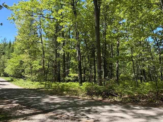 TBD W Lake George Drive