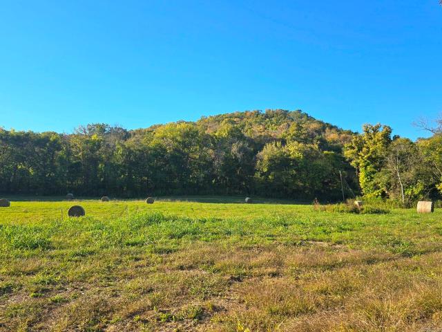TBD W School House Hollow Road