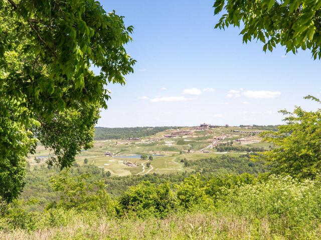 Tbd Wolf Trail