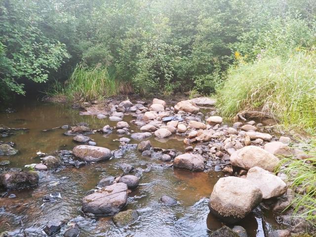 593xx Wolf Creek Rd