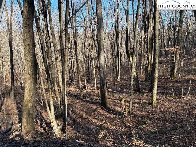 TBD Wolfsbane Trail
