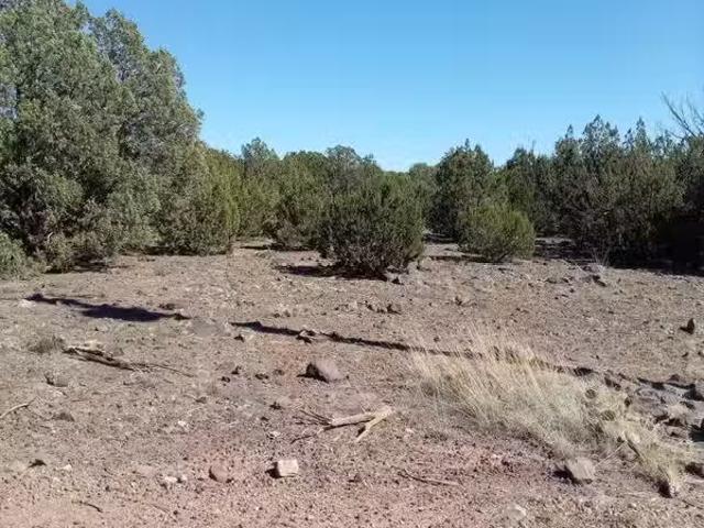 Tbd Woodside Trl J, Show Low, AZ 85901 656831600