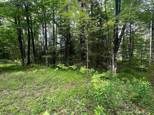 TBD Waucedah Road