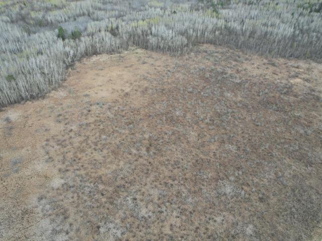 TBD Wadena Line Road