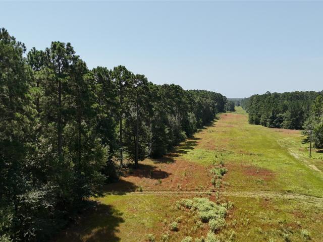 TBD Walding Road
