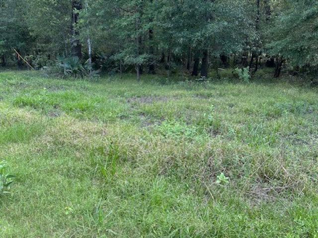 TBD Walker Dr