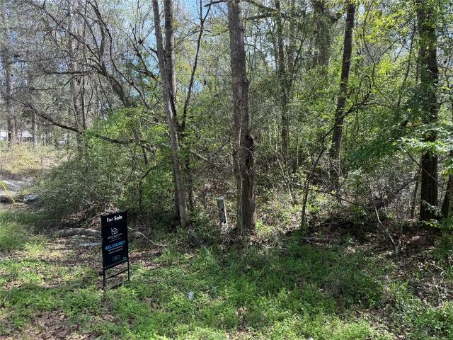 Tbd Walker Rd, Conroe, TX 77306 | MLS #68136