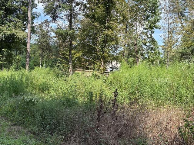 TBD Walnut Ridge Road