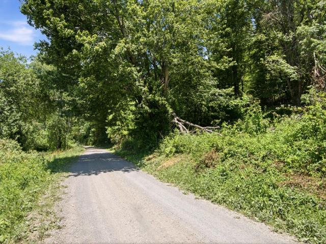 TBD Walter Branscome Rd
