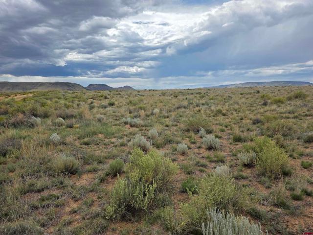 Tbd War Eagle Trail, San Luis, CO 81152 | MLS #827135