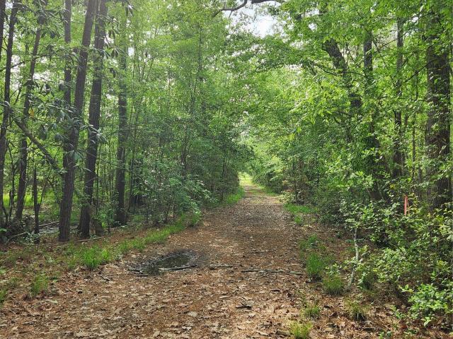 Tbd Ward Rd, Splendora, TX 77372 | MLS #19713