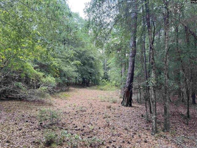 Tbd Weathersby Rd, Salley, Plot For Sale