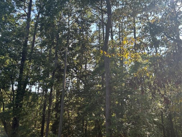 Tbd Weepee Dr, Livingston, TX 77351 | MLS #39403