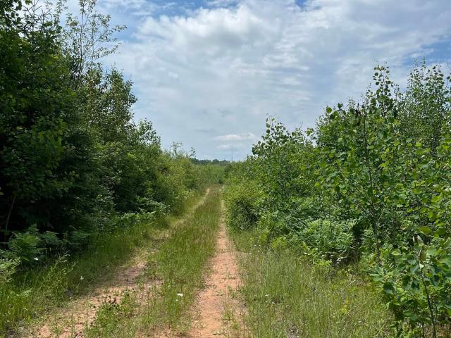 TBD Wells Grade Road