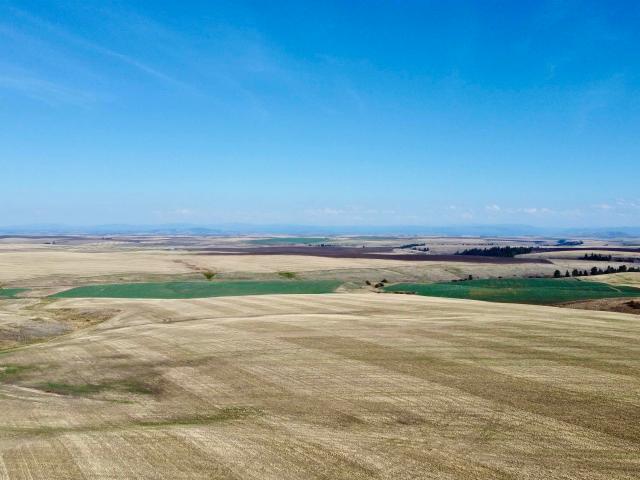 TBD Westlake Rd 80ac
