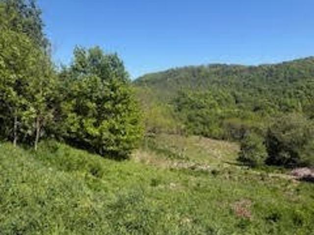 TBD Westwood Acres Drive