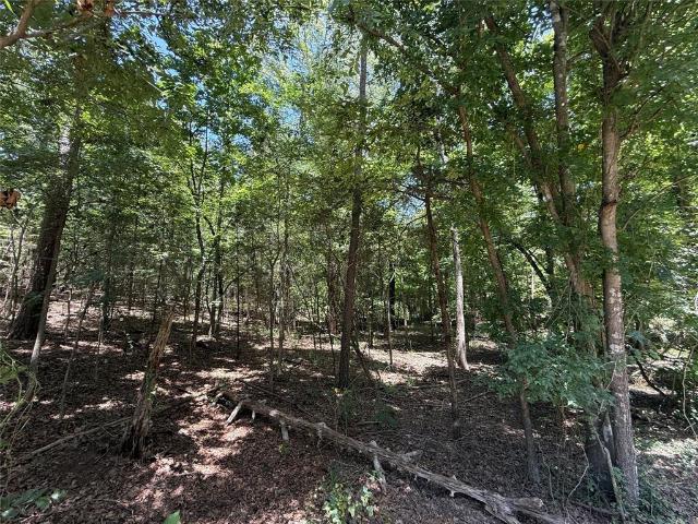 TBD Whispering Pine Trail