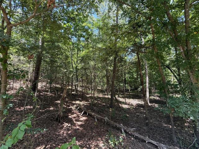 TBD Whispering Pine Trail