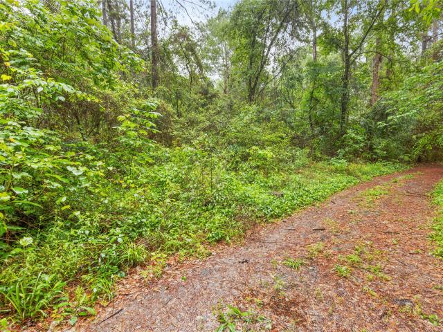 TBD Whispering Pines Lane