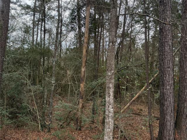 TBD Whippoorwill Lane