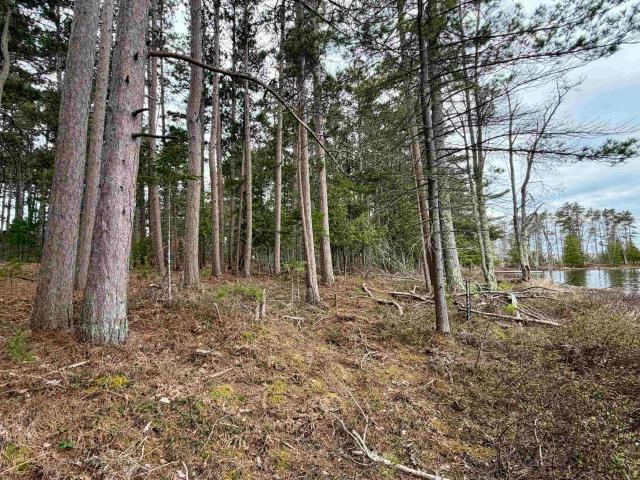 TBD Whitetail Trail # Lots 13, 14, & 15