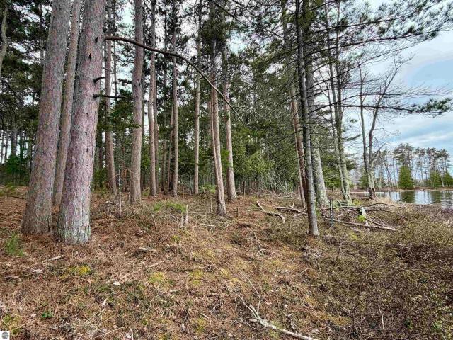 TBD Whitetail Trail