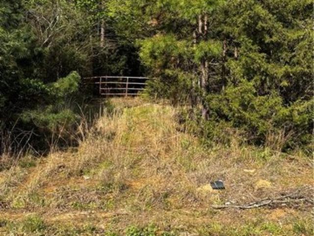 Tbd White Oak, Mulberry, AR 72947