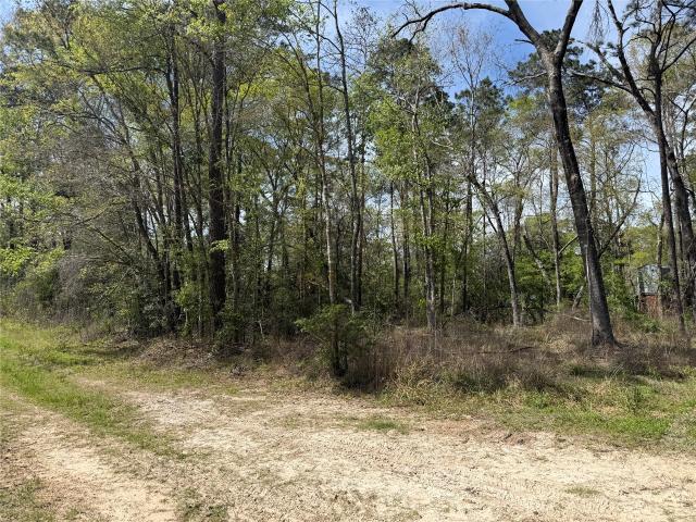 TBD White Oak Drive