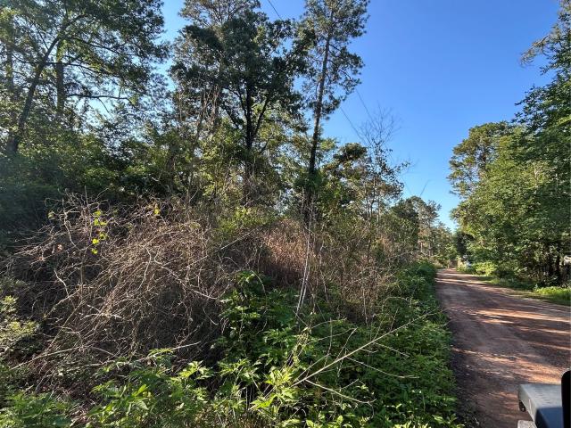 TBD White Oak Drive