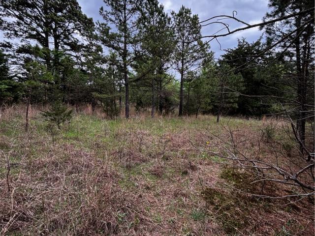 TBD White Oak