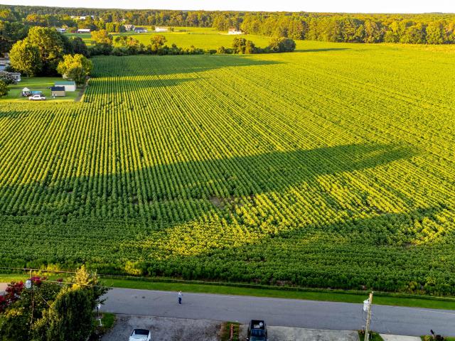 Tbd Whitehat Road # Lot# 4