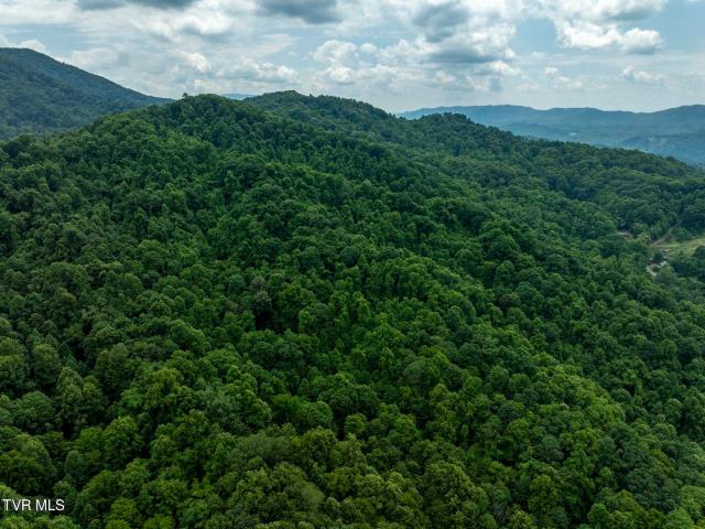 Tbd Whitehead Hollow Road