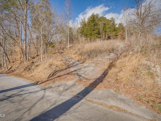 Tbd Whitehouse Road