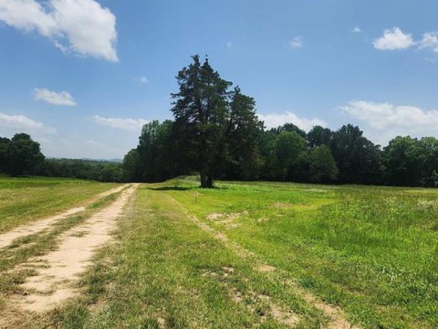 Tbd Whittington Homestead, Story, AR 71970