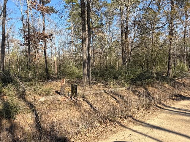 Tbd Wild Bird Dr, Livingston, TX 77351 | MLS #88579