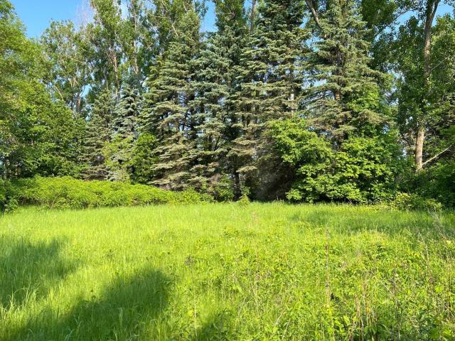TBD Wild Rose Trail