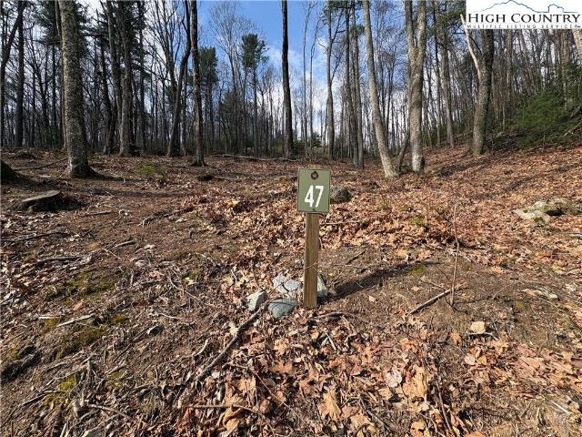TBD Wildcat Wilderness Parkway