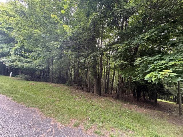 Tbd Wildcat Estates Drive