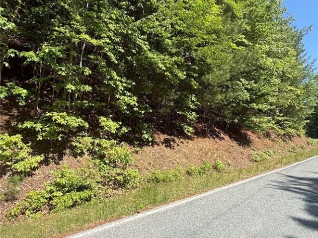 TBD Wildcat Road