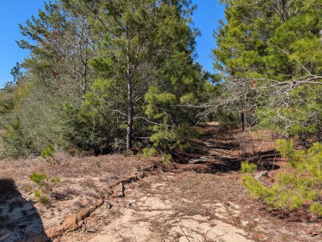 Tbd Willow Bend Dr, DeFuniak Springs, FL 32433 | MLS #996706 | Compass