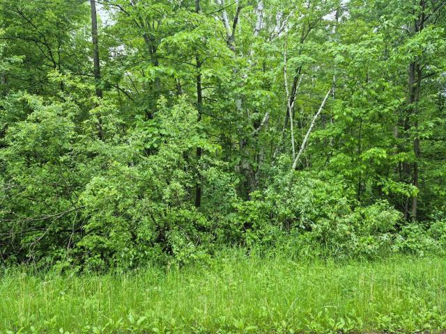 TBD Willow Dr
